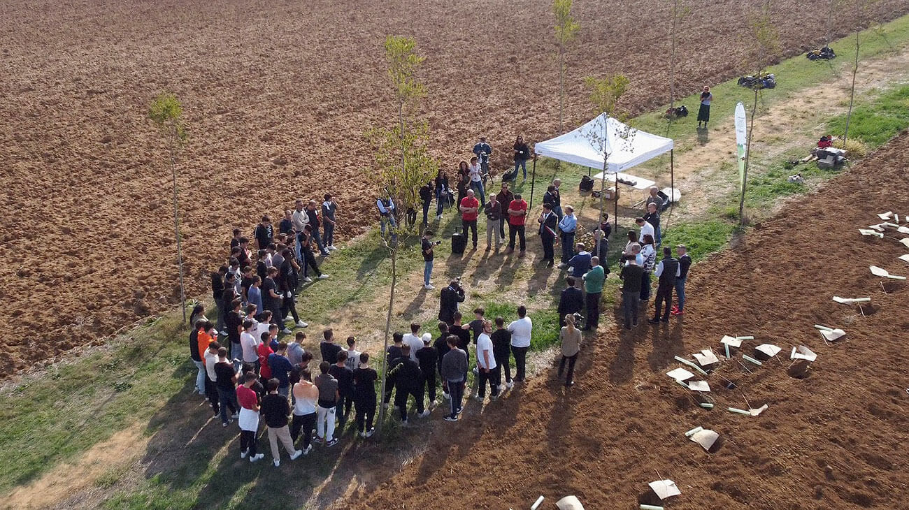 Bosco Ferrari initiative launched, featuring 30 hectares of new forest ...